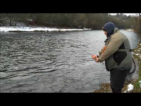Grayling fishing on the River Tweed