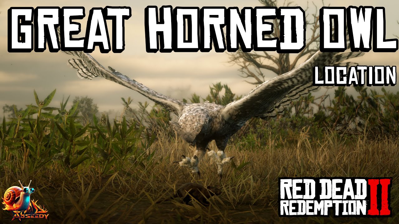 Great Horned Owl Location - Red Dead Redemption 2 - YouTube