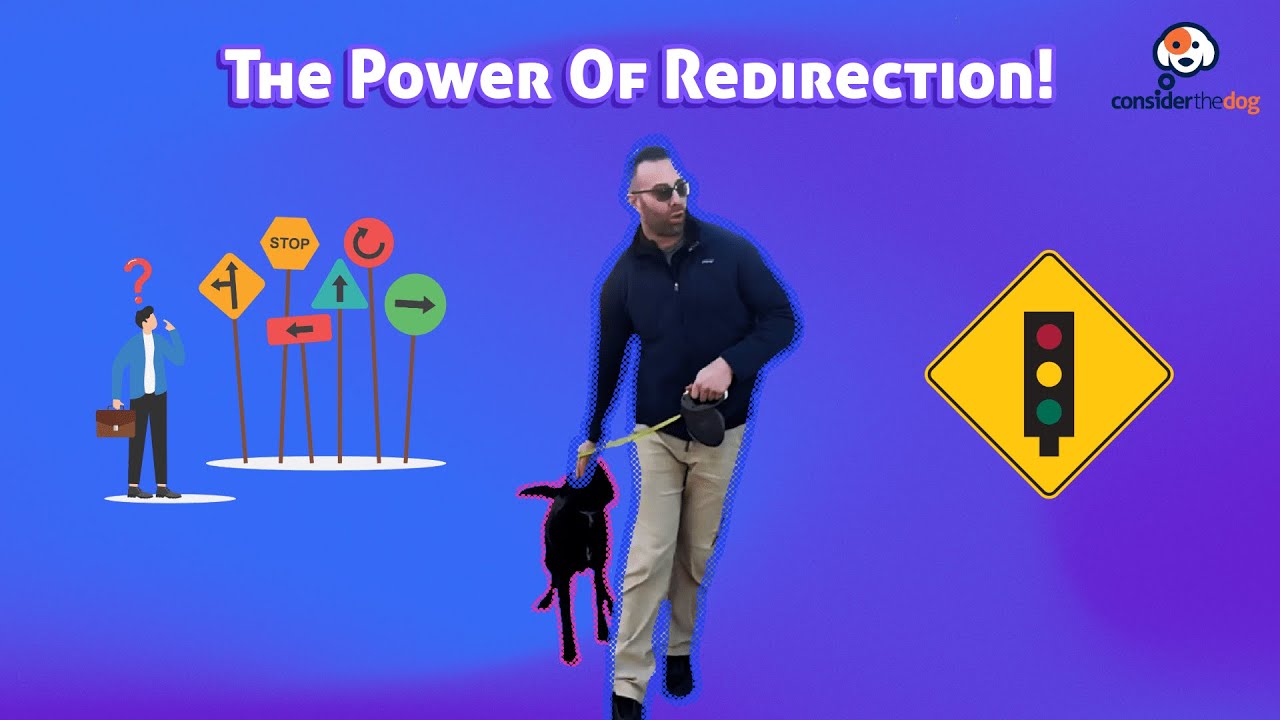 How To Fix Bad Behavior Through Redirection - YouTube