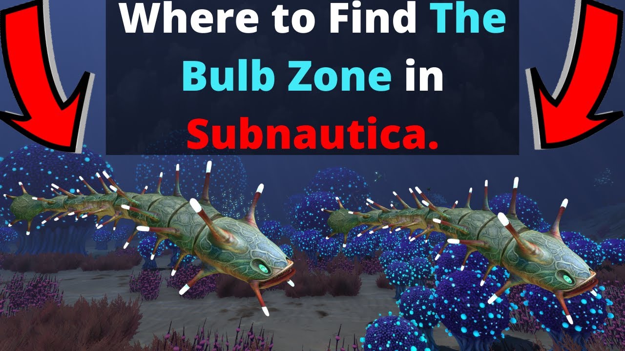 Where to find The Bulb Zone. - YouTube