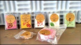 The Bathing Garden Wax Tart Haul & Review - June Circus Stock