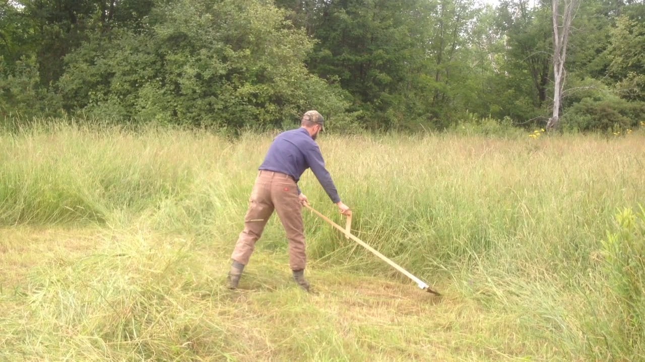 Cutting forage for beeves being finished. - YouTube