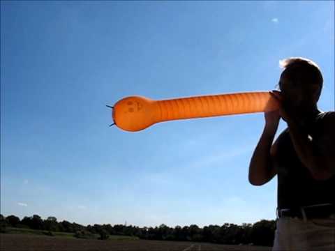 balloon blow to pop - Everts Worm - YouTube