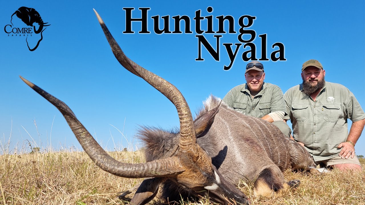 Hunt Nyala in South Africa with Comre Safaris - YouTube
