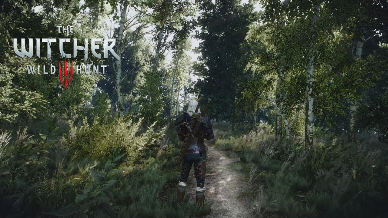 The Witcher 3 Wild Hunt Insane Graphics Mod - YouTube