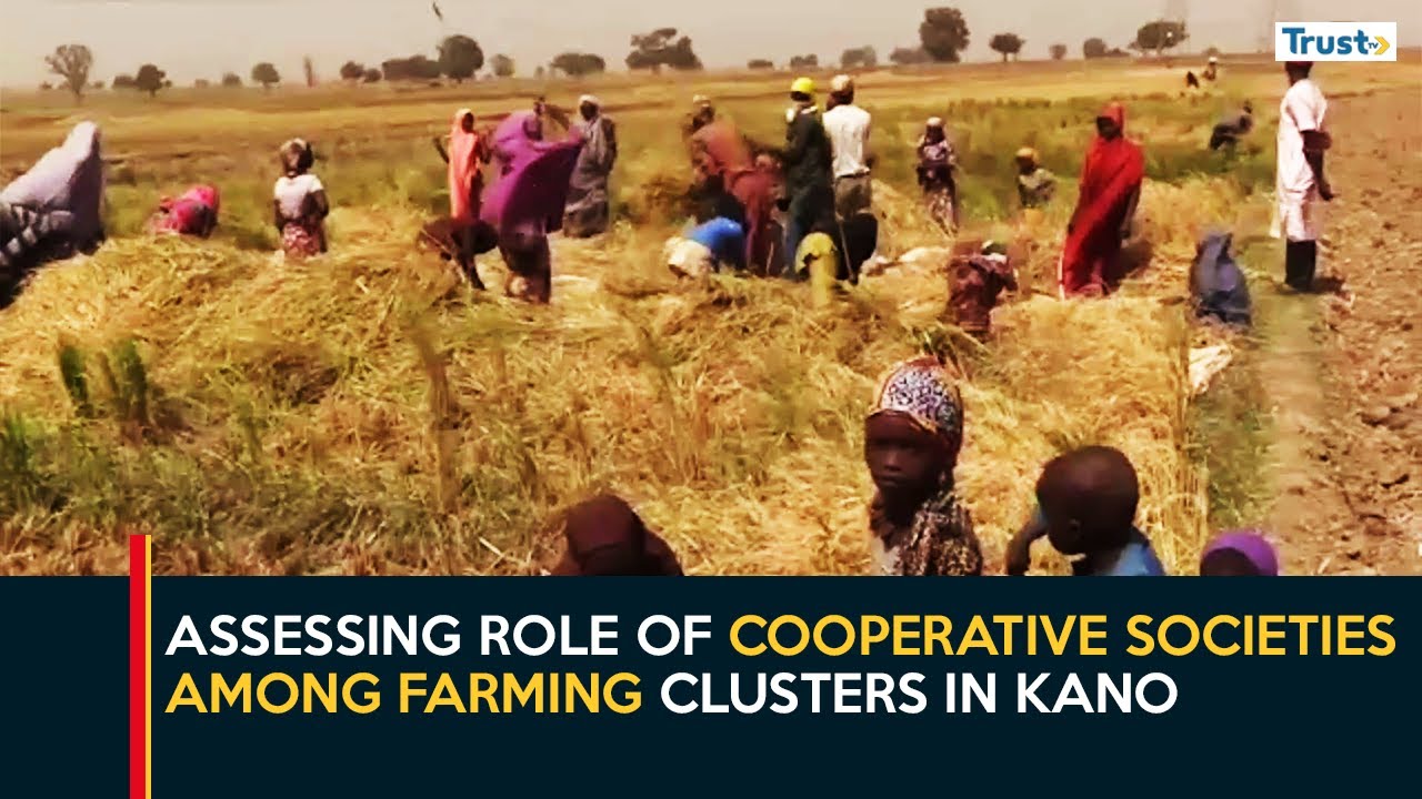 Improving Rural Livelihoods: Assessing Role Of Cooperative Societies ...