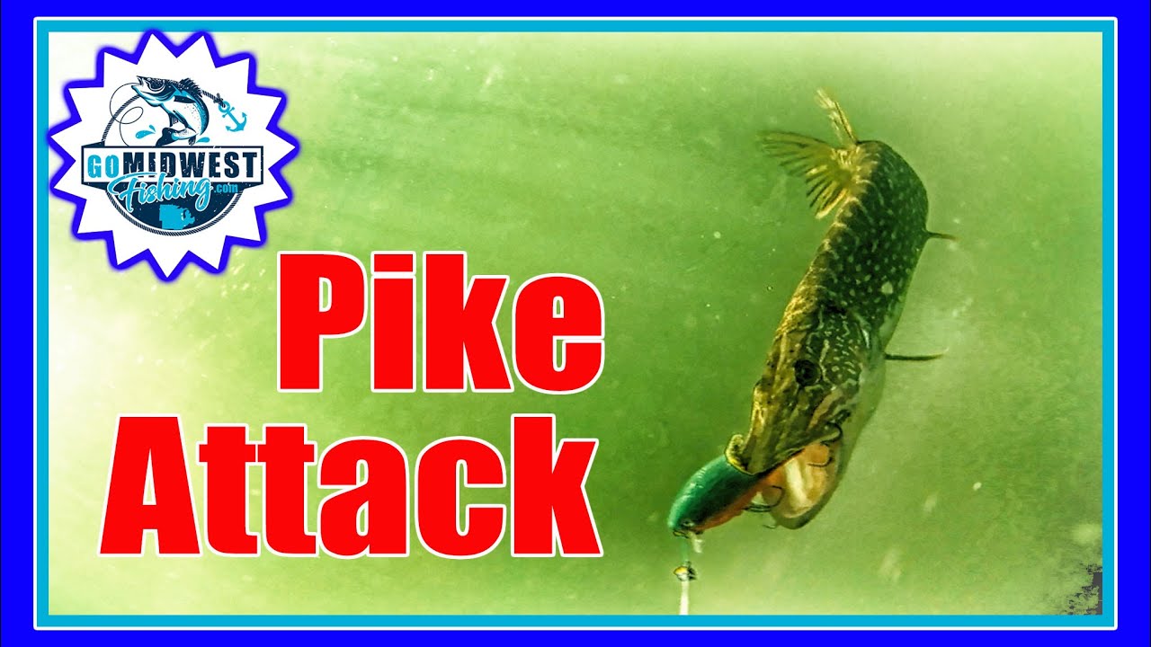 Fishing Island Lake Near Spooner, WI - YouTube