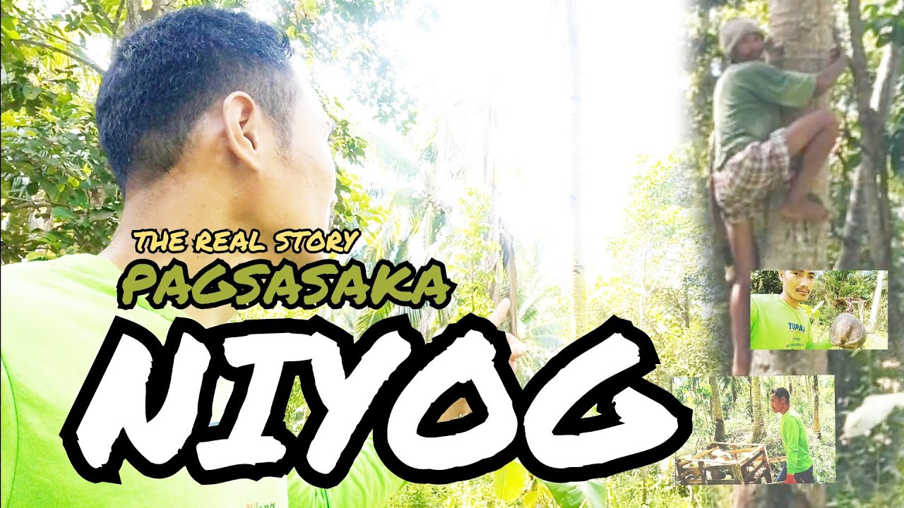 PAGSASAKA NG NIYOG || REAL STORY OF BEING A FARMER #youtube # ...