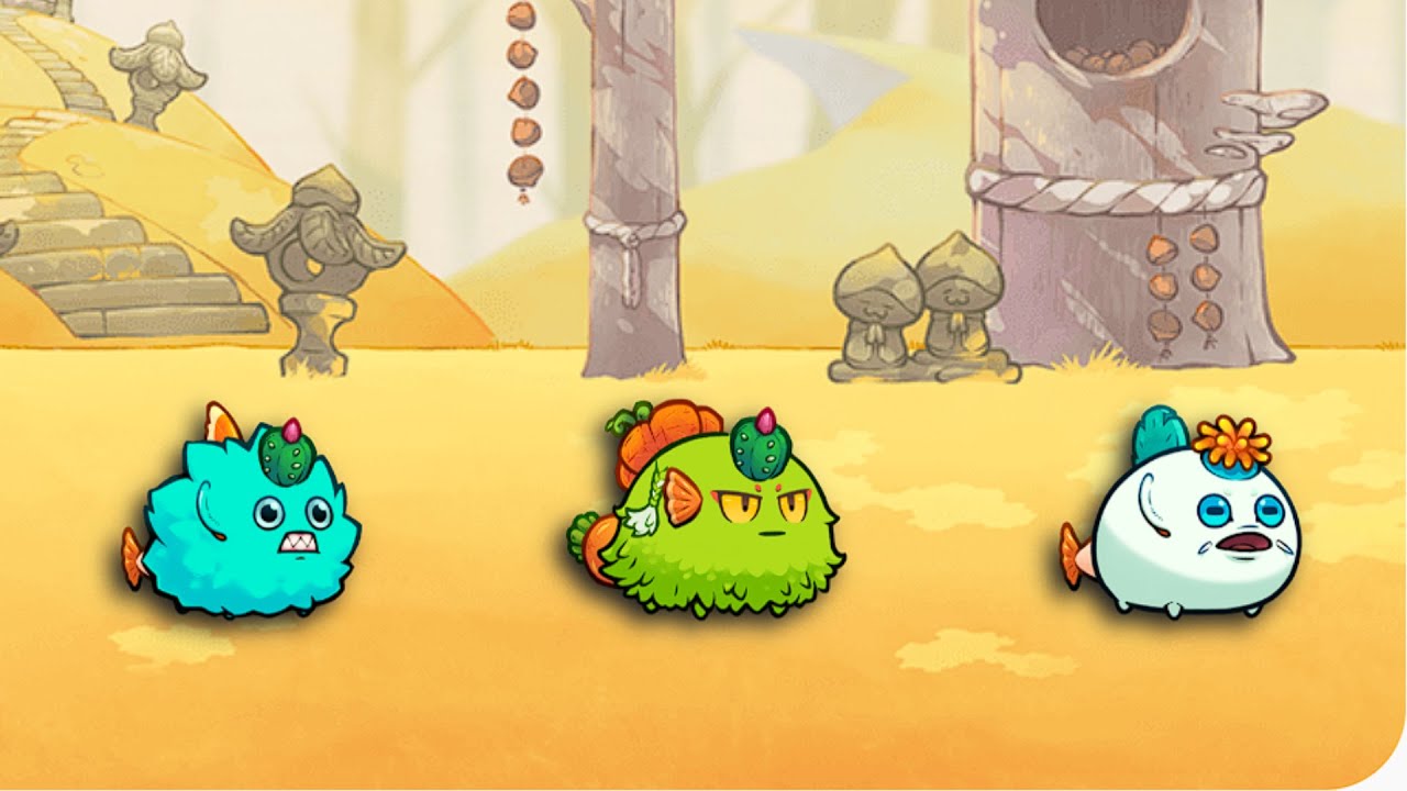 Top Player Axie Origin - akaringo - Double Taunt Bubble - YouTube