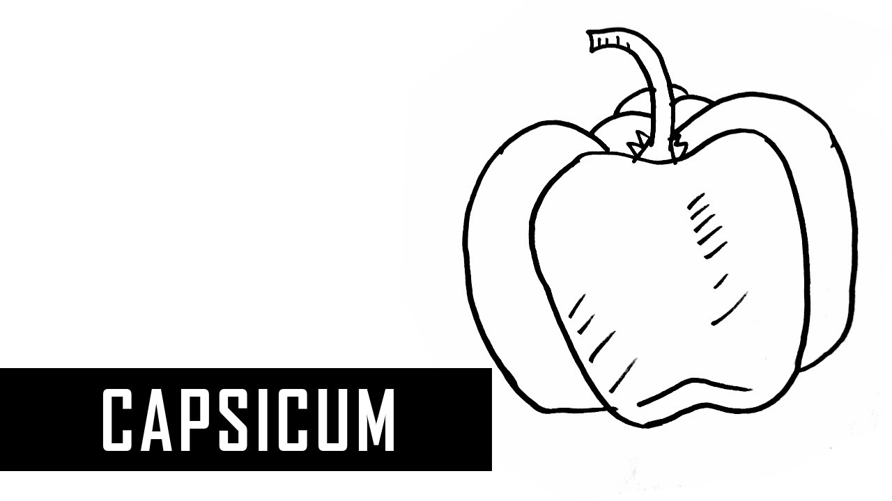 Capsicum Line Art - YouTube
