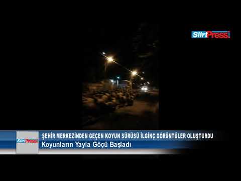 ŞEHİRDEN GEÇEN KOYUN SÜRÜSÜ İLGİNÇ GÖRÜNTÜLER OLUŞTURDU
