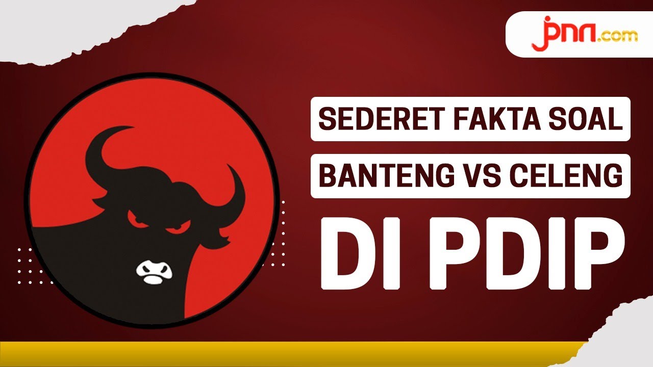 Fakta Banteng vs Celeng di PDIP - YouTube