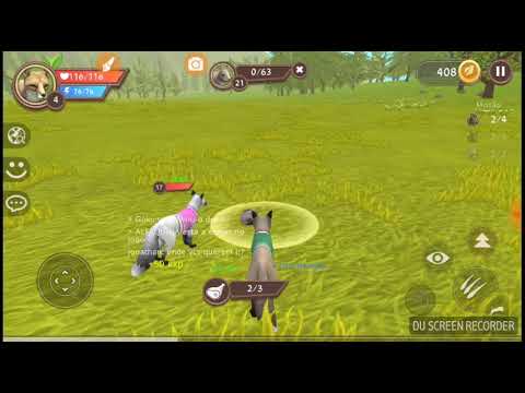 Apresentando minha namorada e subindo de nível com raposa wild craft ...