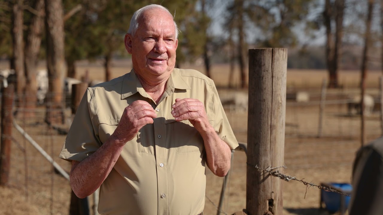 Everything you need to know about internal parasites with Dr. Faffa ...