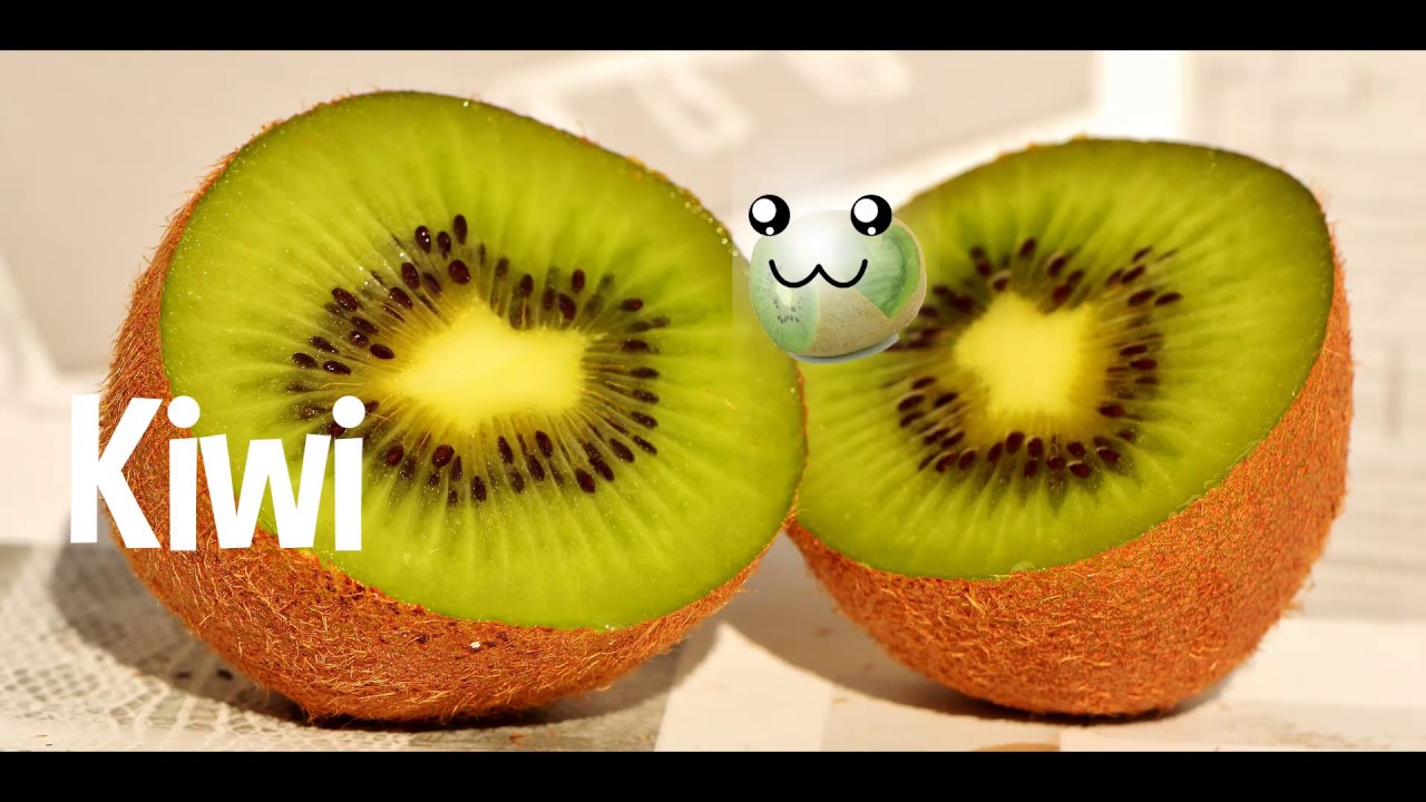 Learn about cute Kiwi (for kids NO Ads); focused fun learning ...