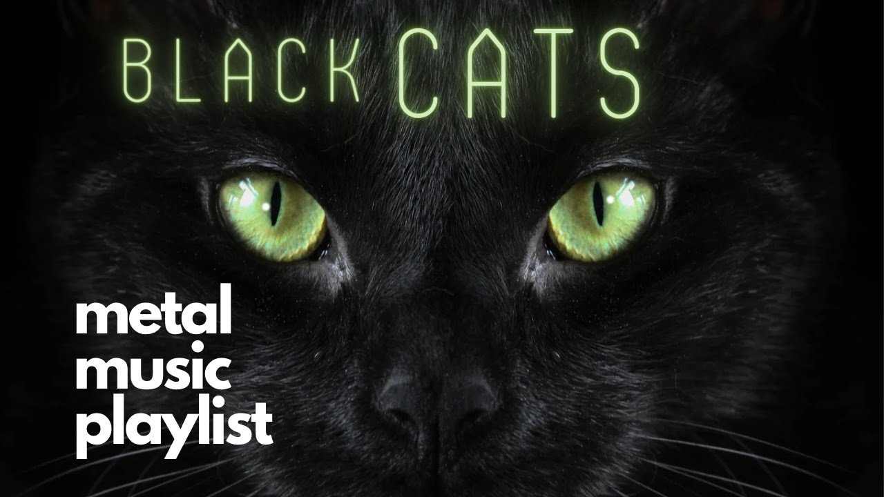 Black Cat Metal | Music for Driving | Chillin | Headbangin - YouTube