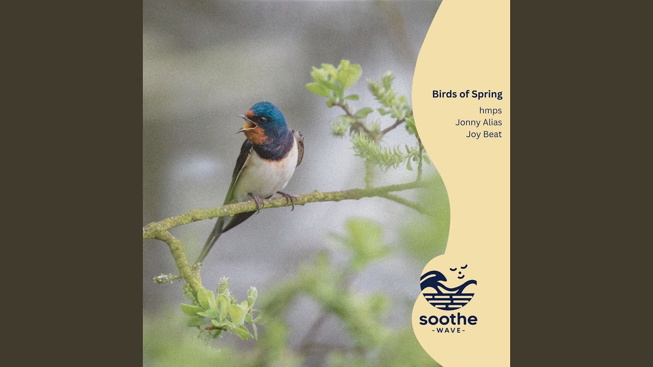 Birds of Spring - YouTube