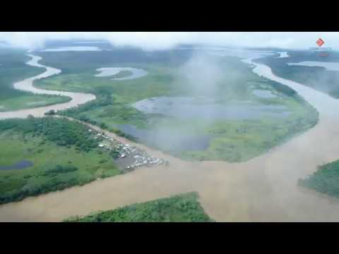 Chocó Biodiverso - YouTube