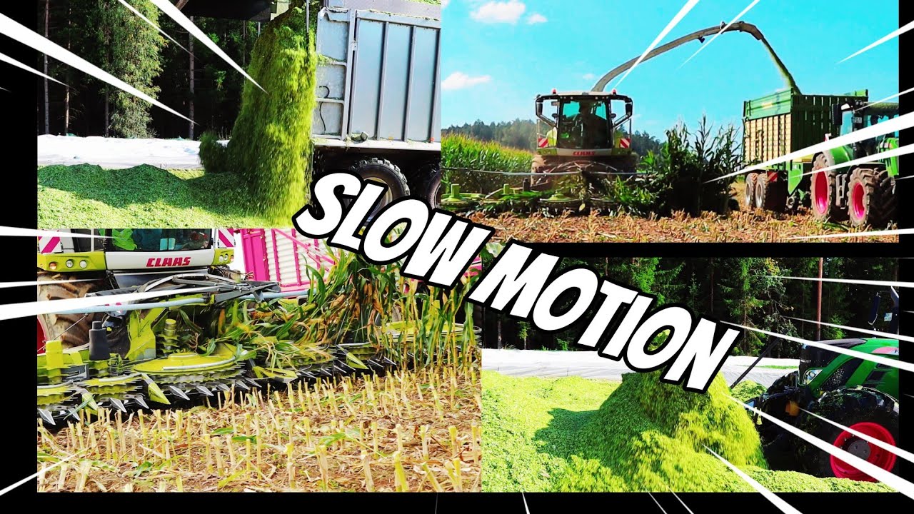 Maisernte in slow motion LU Winderl - YouTube