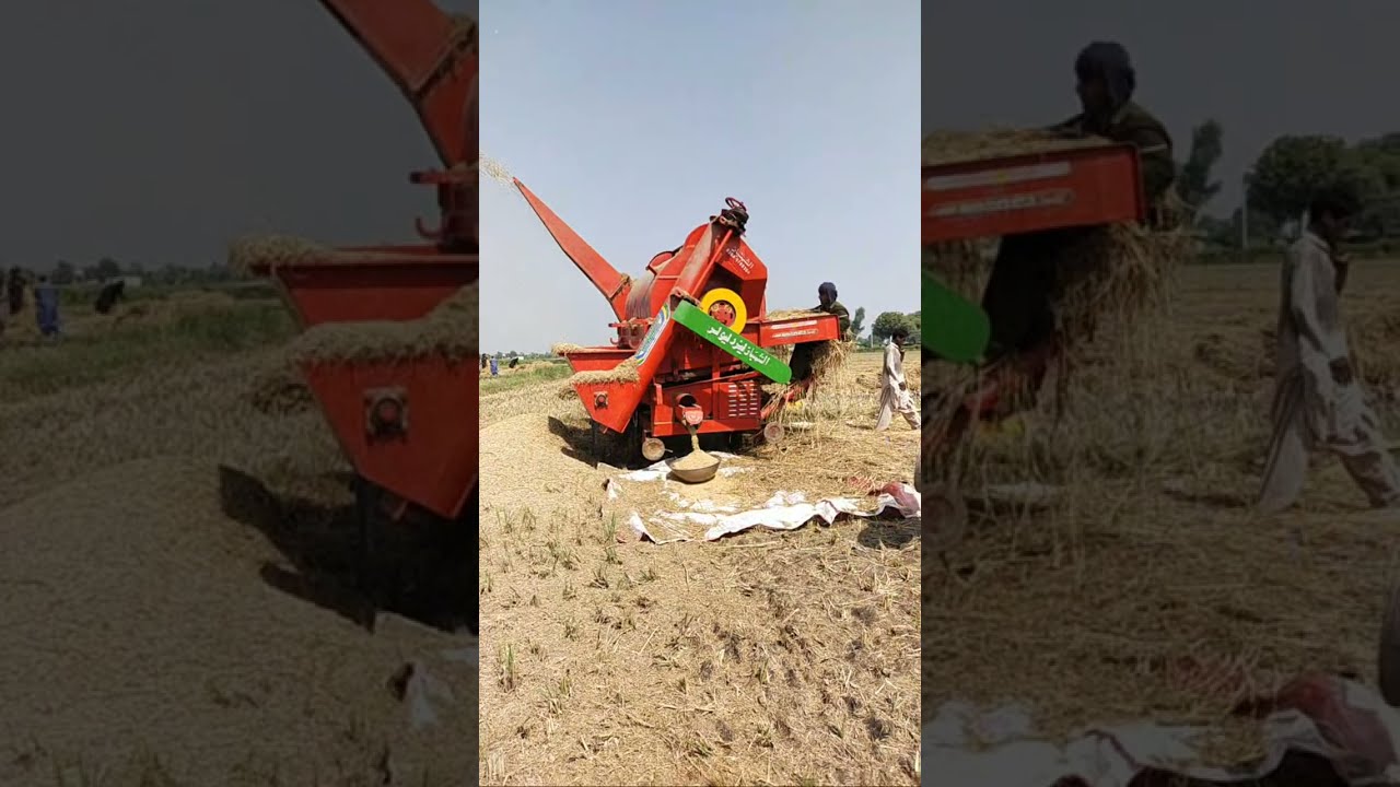 Fida.Gul.Official is live! - YouTube