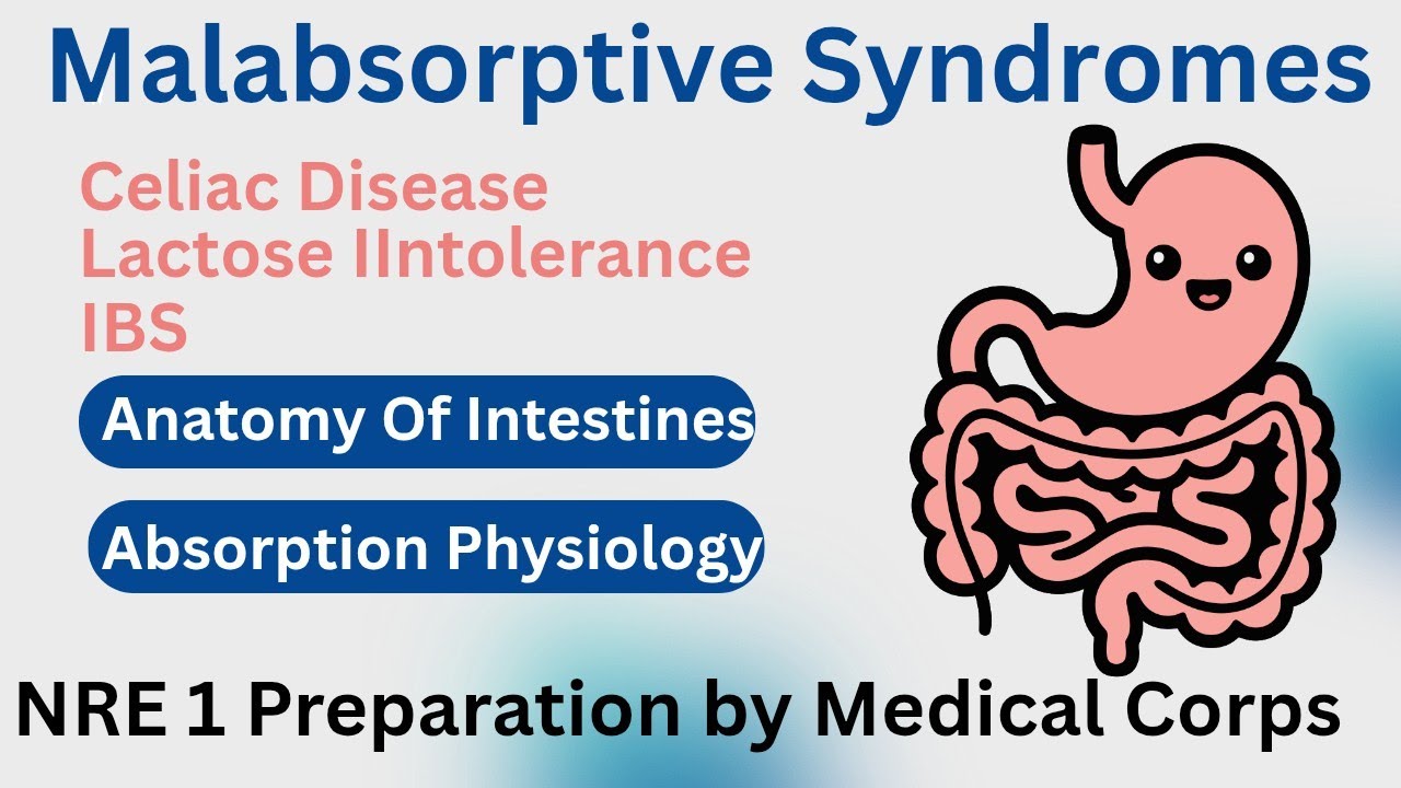 Malabsorptive Syndromes | NRE 1 Preparation by Medical Corps - YouTube