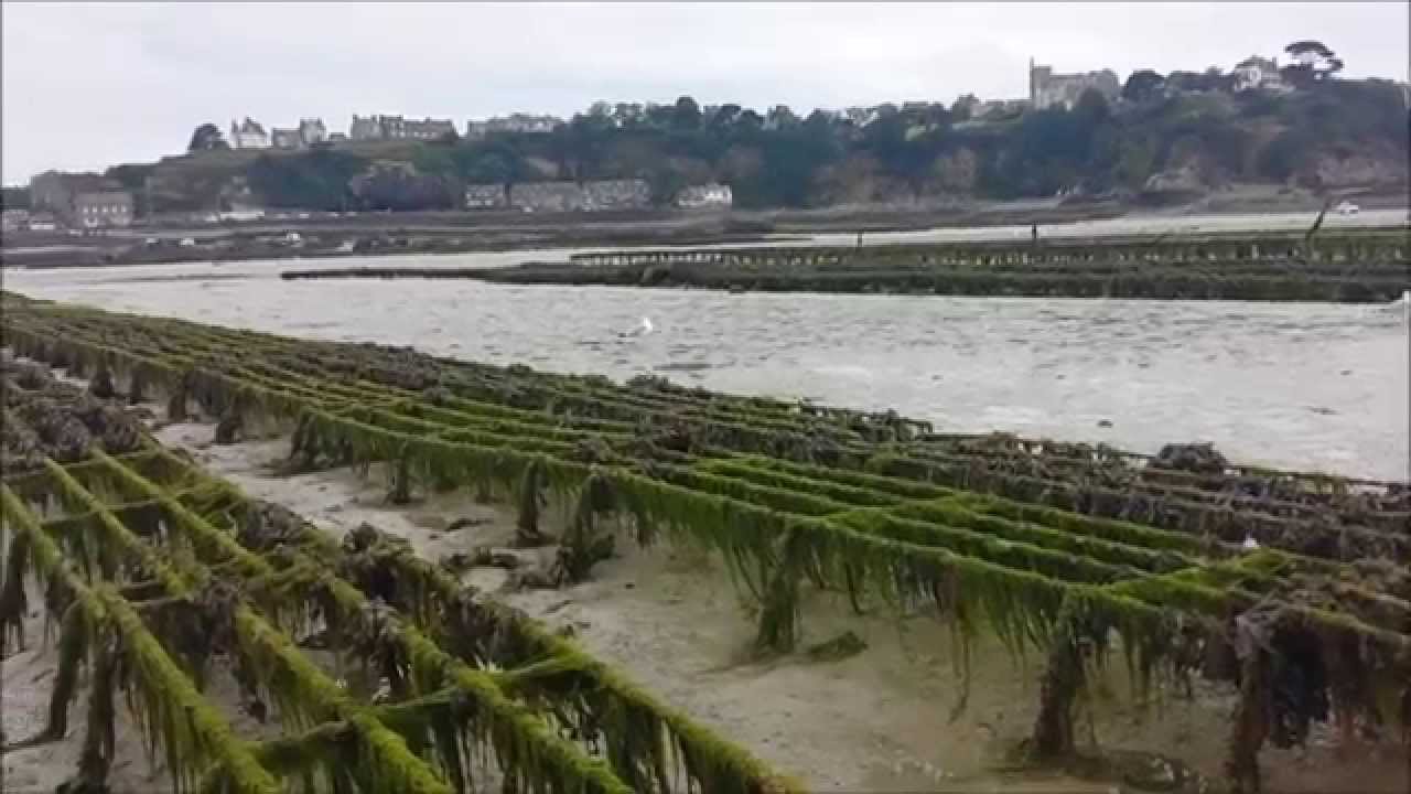 Les Parcs Saint-Kerber à Cancale - Bretagne. Juillet 2015 ! - YouTube