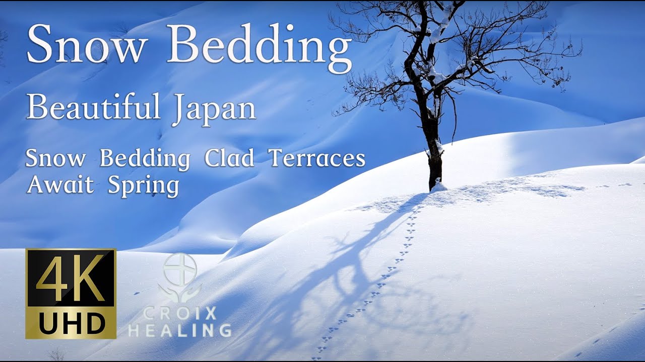 【Snow Bedding】Snow Bedding Clad Terraces Await Spring. - YouTube