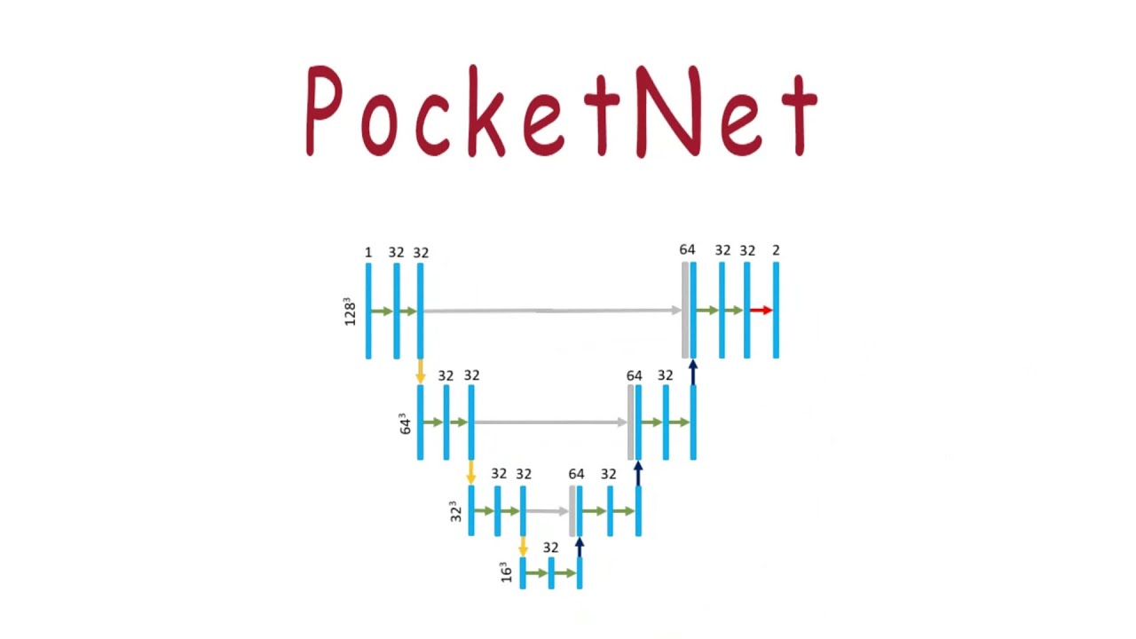 What is PocketNet? - YouTube