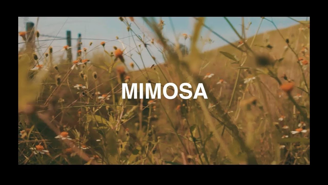 MIMOSA - Dance Video - YouTube