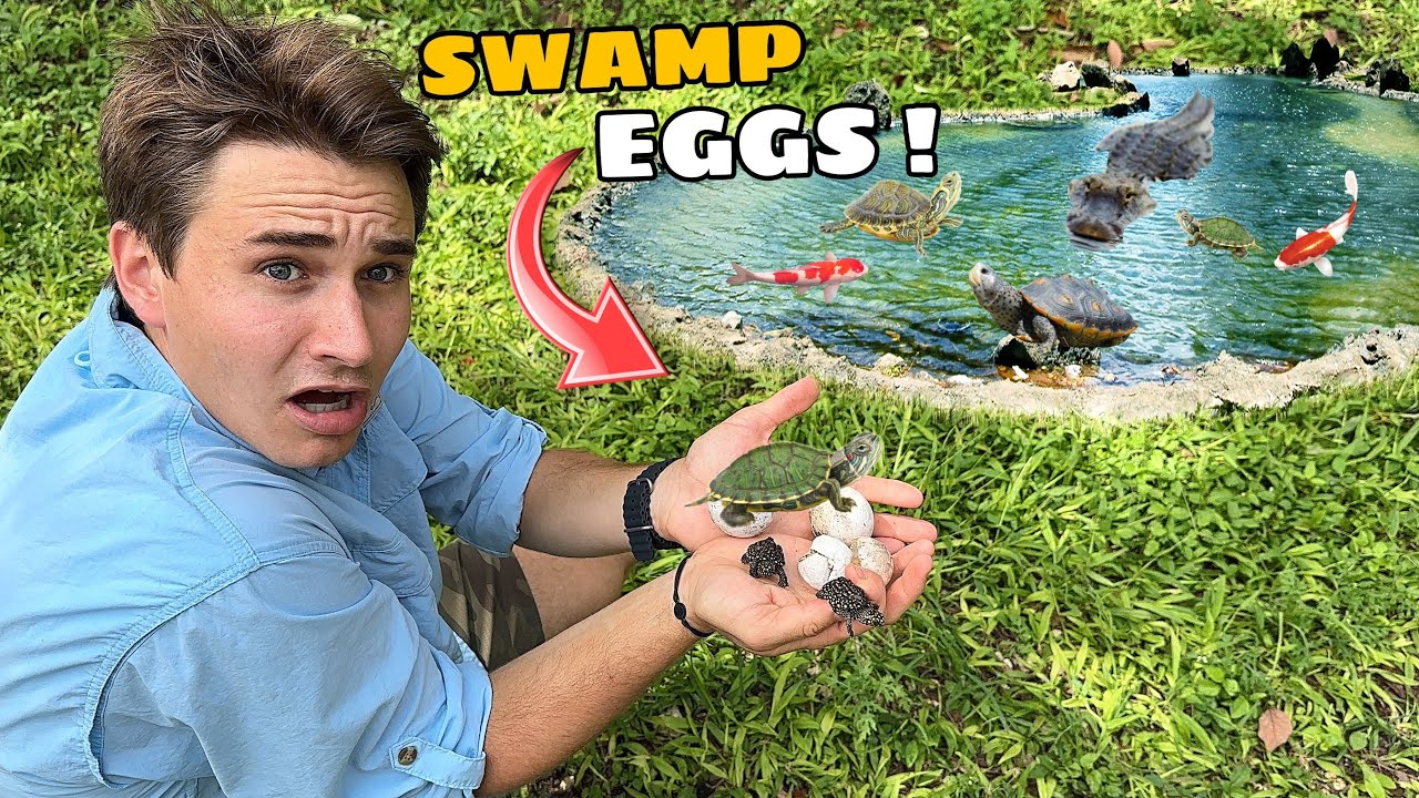 I FOUND SWAMP EGGS At My FARM ! - YouTube