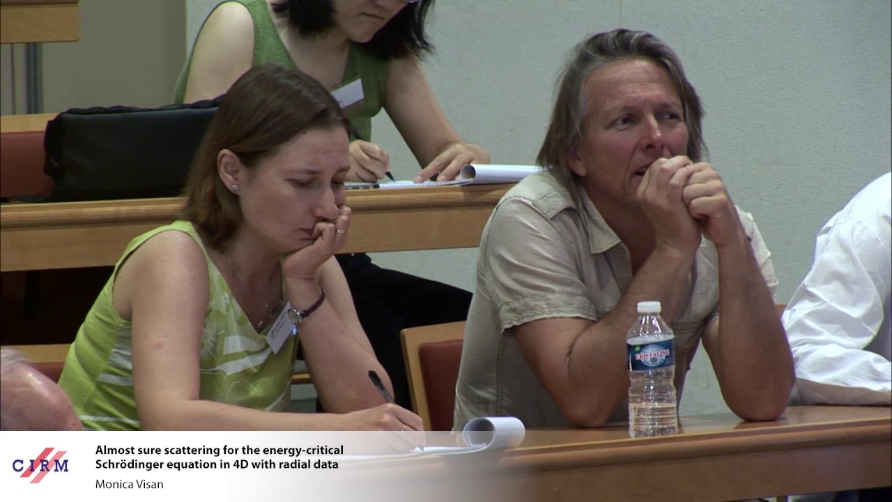 Monica Visan: Almost sure scattering for the energy-critical ...