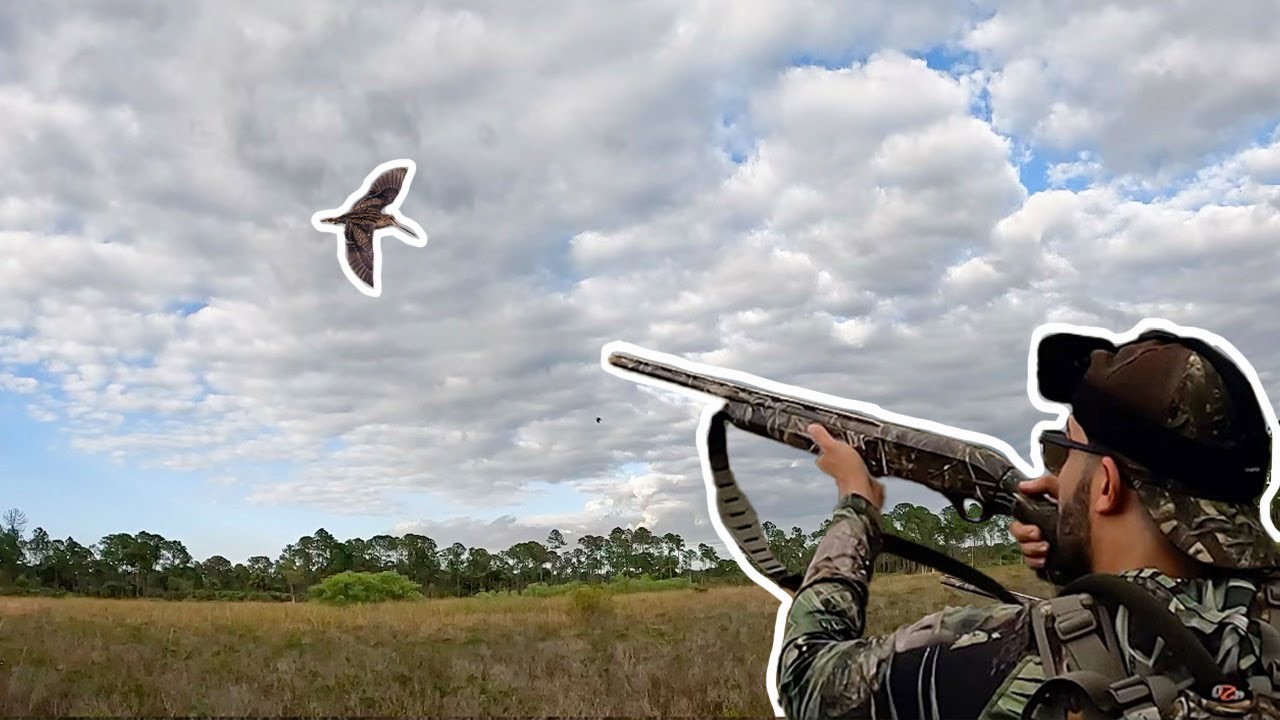 How to SNIPE HUNT on FLORIDA Public Land! - Catch Clean Cook - YouTube