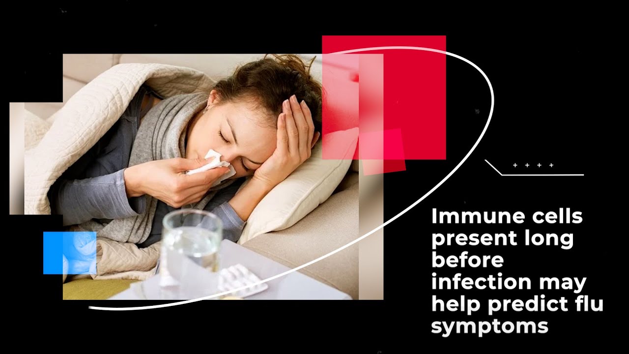 Immune cells present long before infection may help predict flu ...