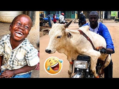 Try Not To Laugh Challenge 😂 | You Will Laugh Out Loud #trynottolaugh #laughoutloud #funnymoments 