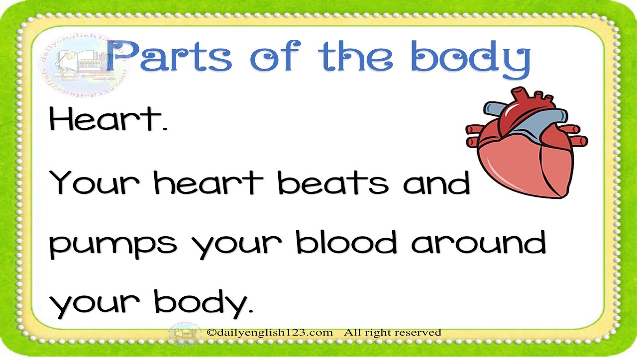 Reading about parts of the body (improve reading skill for kids). - YouTube