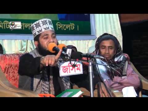 স্টার জলসা আর জি বাংলা, নষ্ট করল আমার সোনার বাংলা