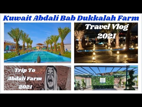 Kuwait Abdali Bab Dukkalah Farm/kwt Abdali agri animals Farm/kuwait ...