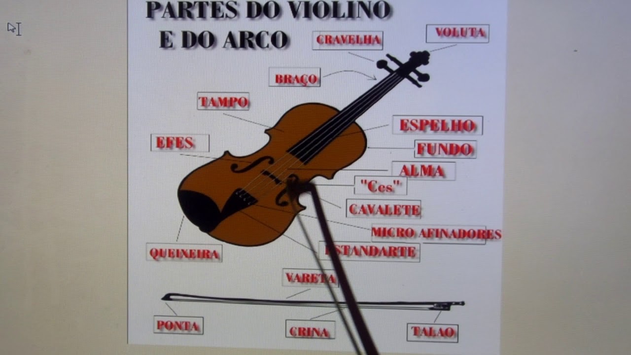 Reforço para aula de violino Projeto Paz - Partes do Violino ...