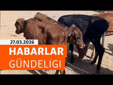 “Ýaşap oturan otagymyzy gurçuklara berdik” - Türkmenistanda pile möwsümi başlaýar