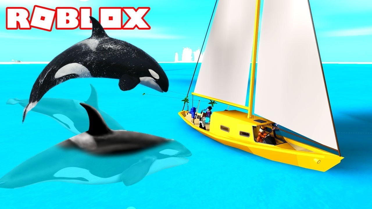 NOS ATACA UNA FAMILIA DE ORCAS EN EL BARCO MAS CARO DE FISHING ...