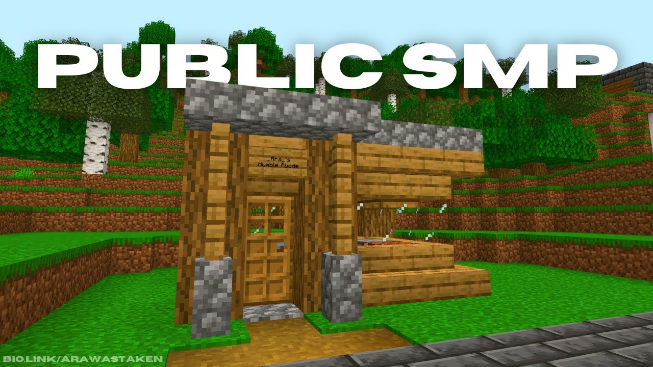 I Joined A Public Minecraft SMP... - YouTube