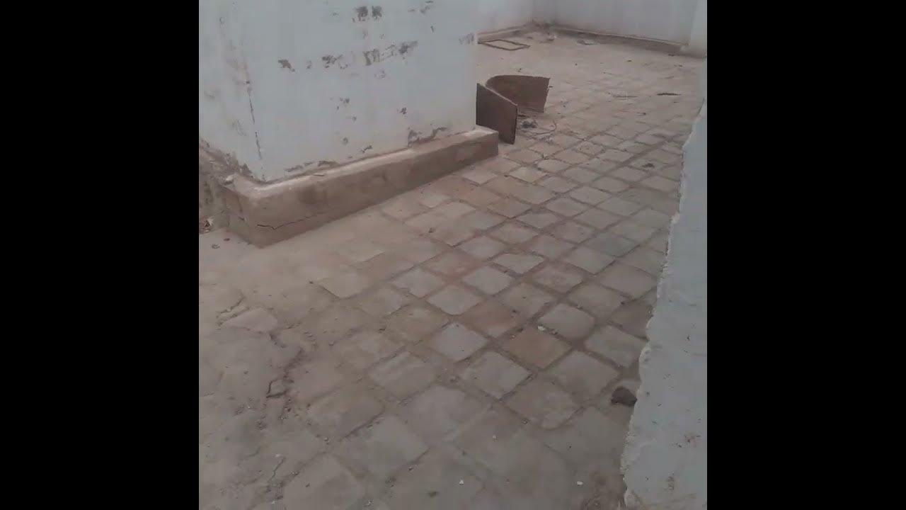 راد يعظني كلاب اخوي Youtube