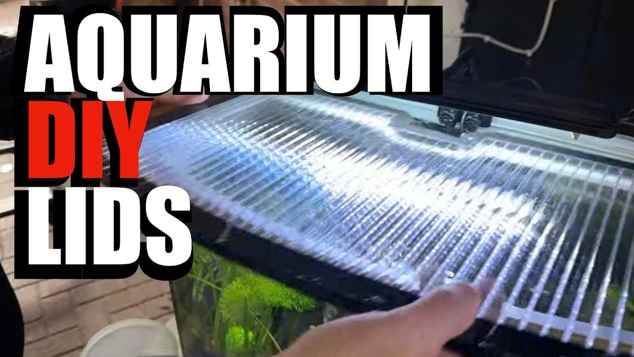 BEST DIY AQUARIUM LIDS cheap! quick! easy! - YouTube