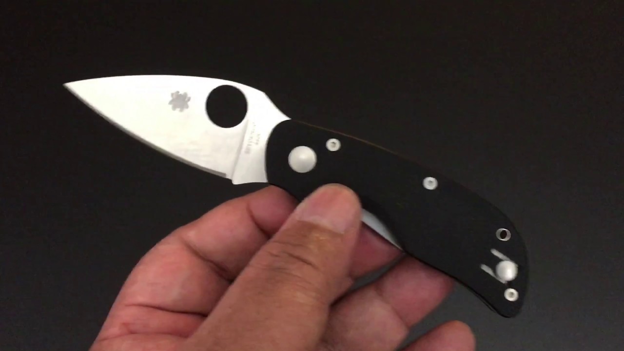 Spyderco Cat! The Knife of the Day! - YouTube