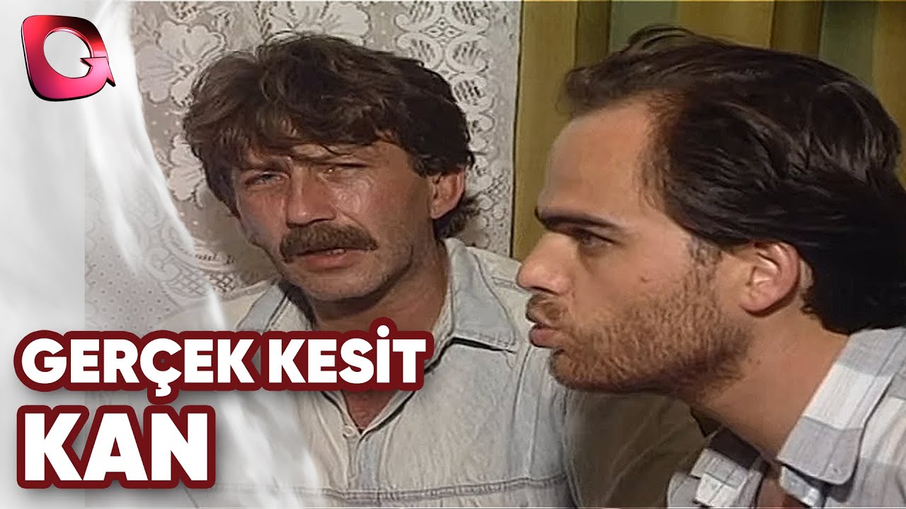 GERÇEK KESİT- KAN - YouTube