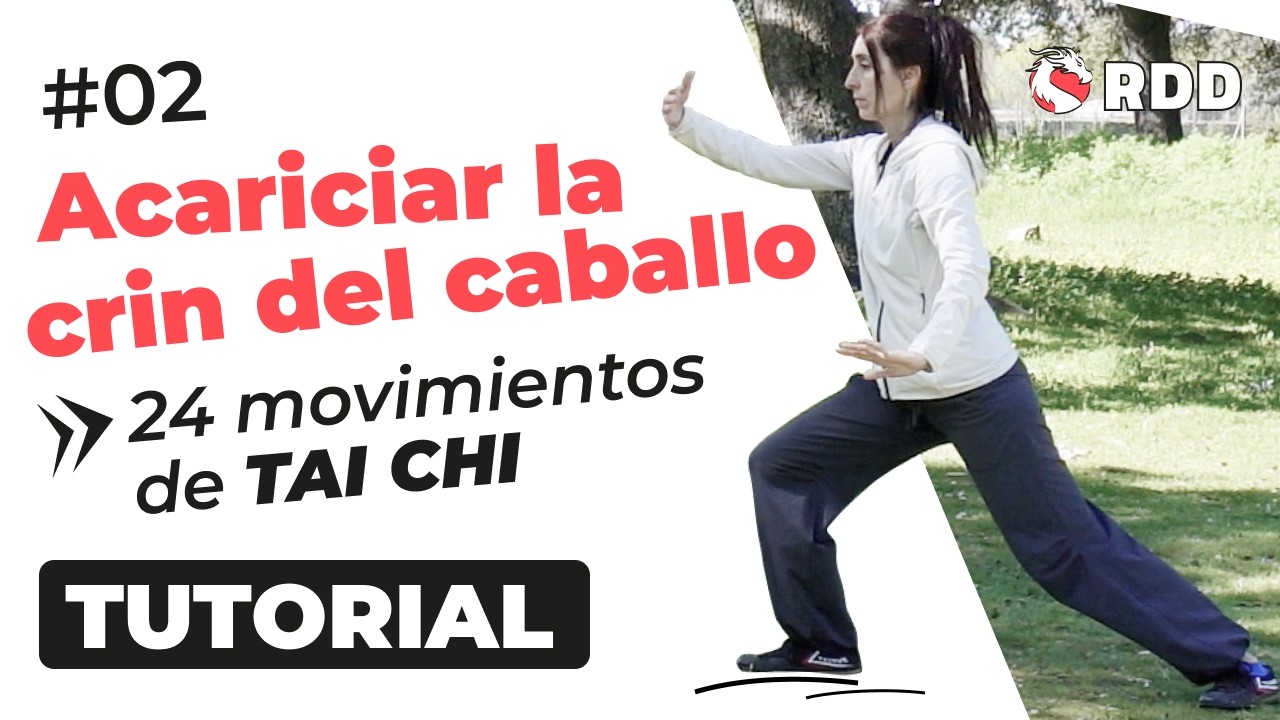 Tutorial #02: Acariciar (Separar) la Crin del Caballo Salvaje | Tai Chi ...