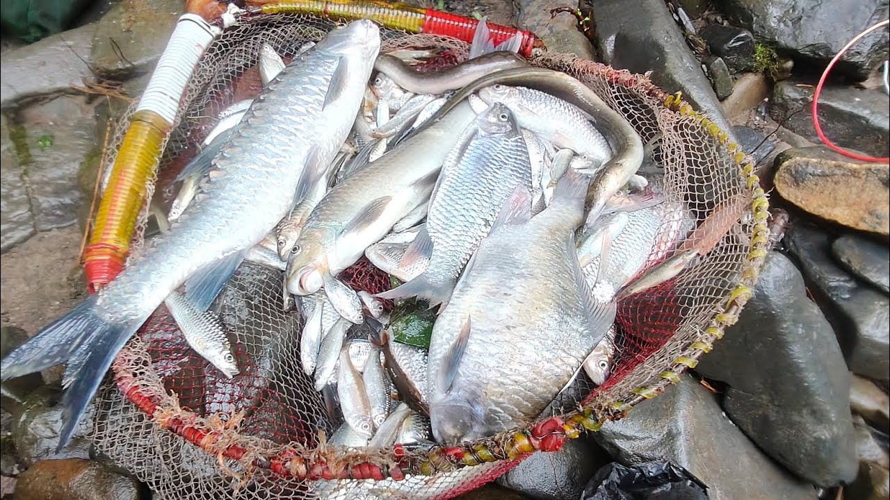 Electric coil #fishing at zunki @river# 🐟🐟🐟🐟🐟🐟 - YouTube