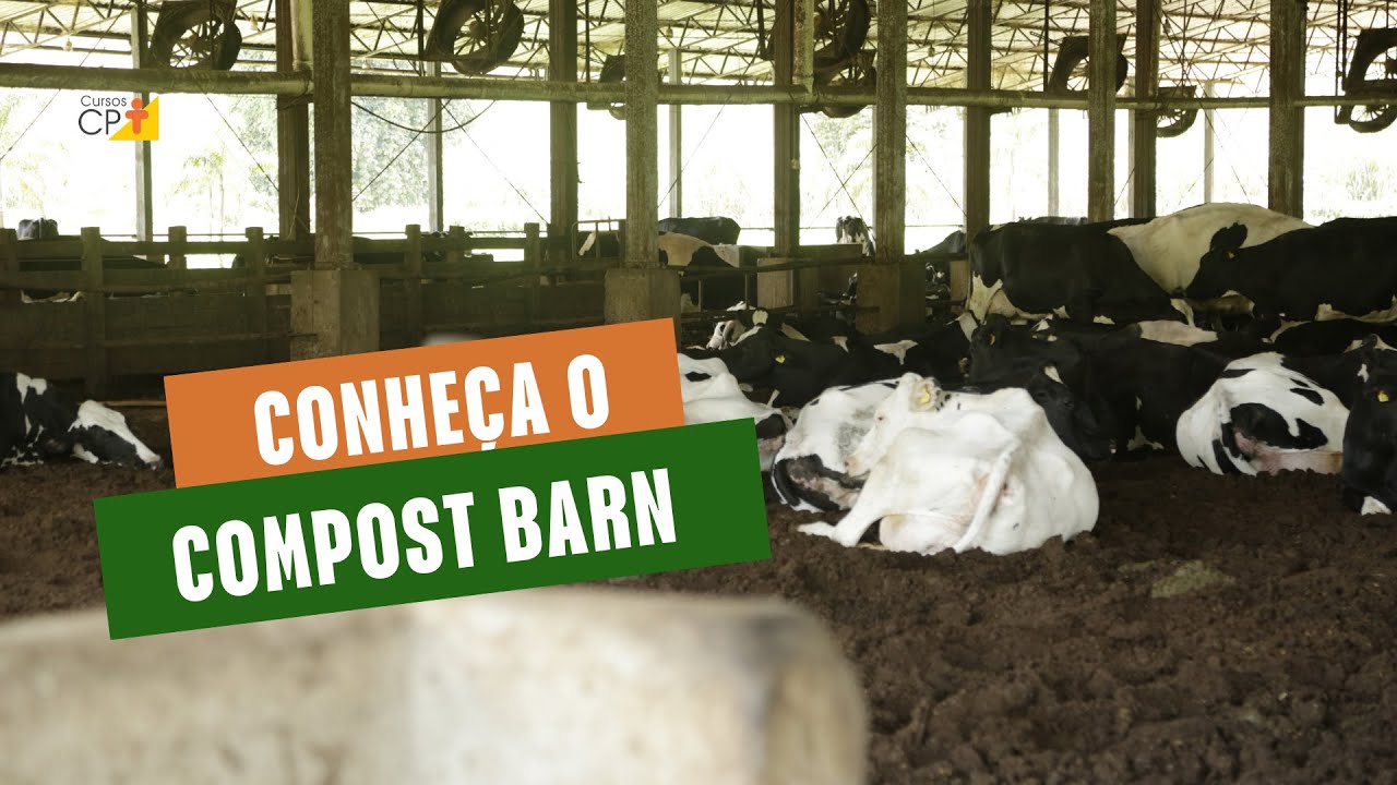 O que é Compost Barn l Cursos CPT - YouTube