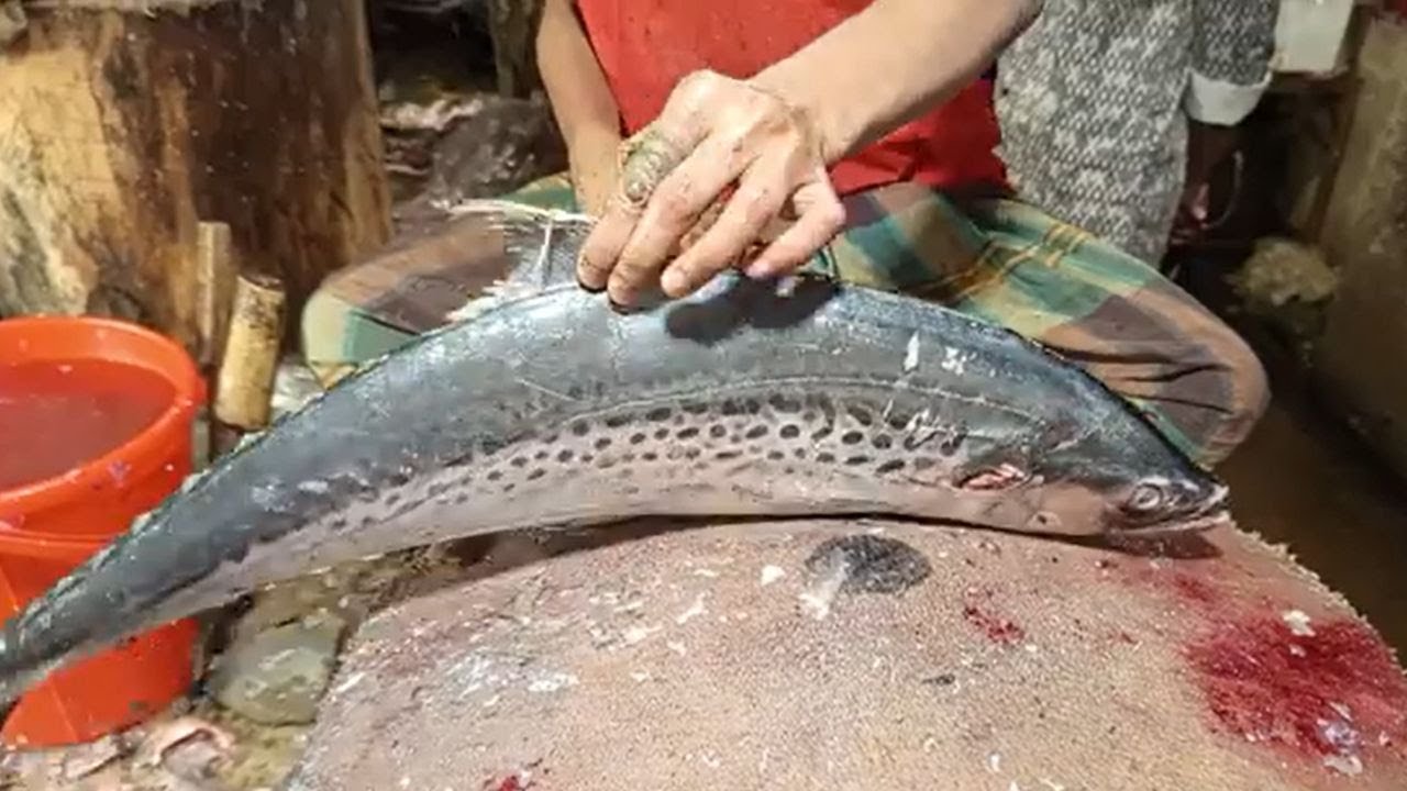 Traditional Surma Fish Cutting | Expert Techniques & Skills - YouTube
