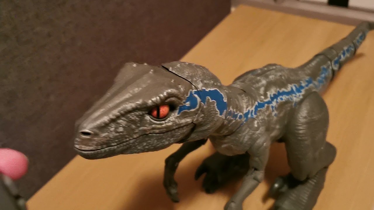 jurassic world Blue Alpha Training Raptor - YouTube